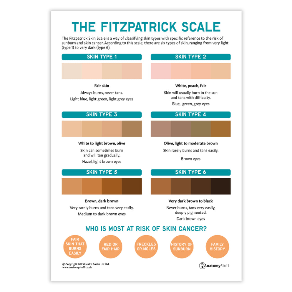 The Fitzpatrick Skin Cancer Scale (Printable PDF) | Cancer Awareness ...