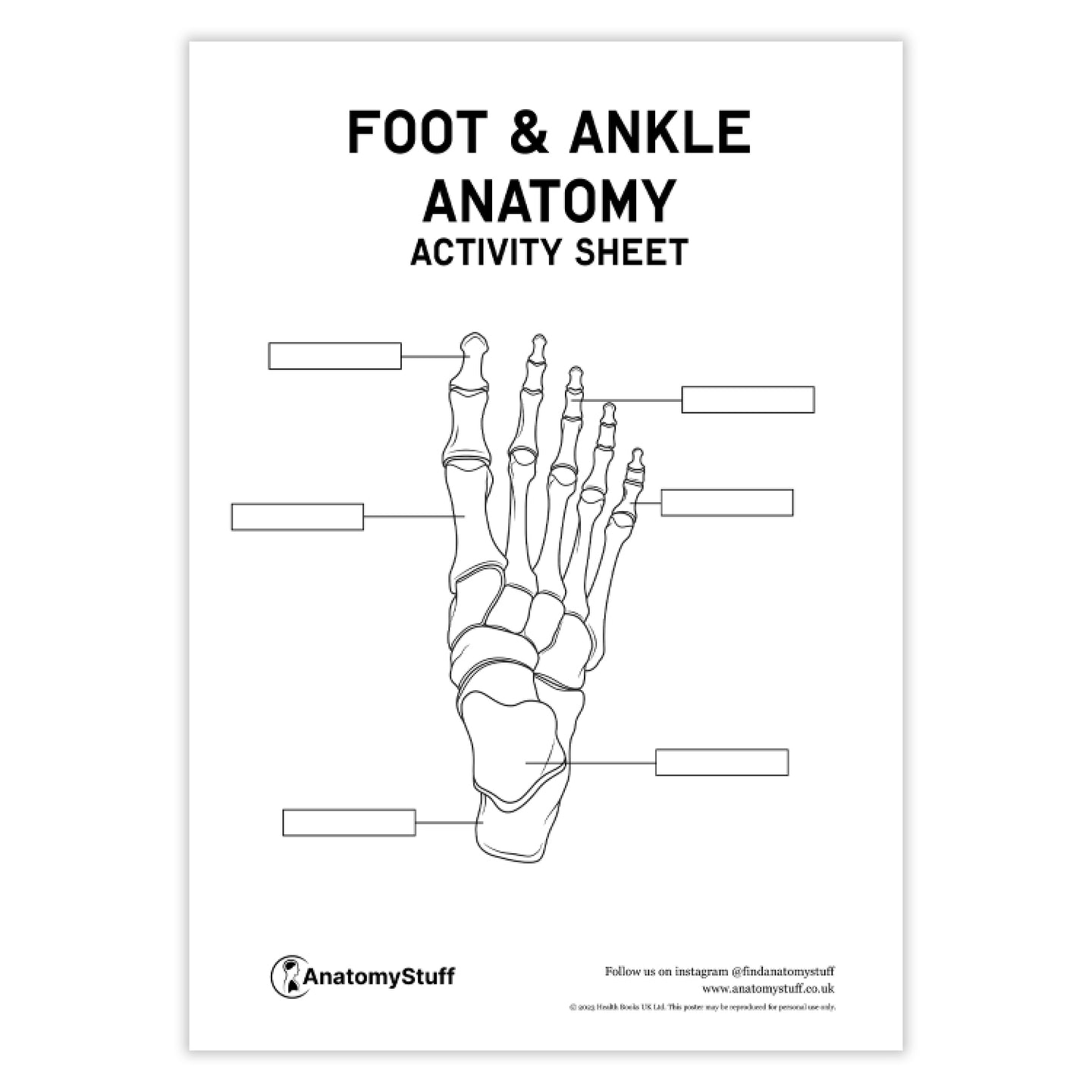 Foot & Ankle Anatomy Activity Sheet PDF | AnatomyStuff