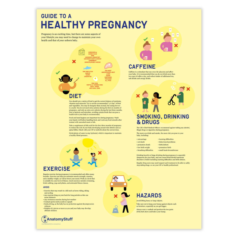 Guide to a Healthy Pregnancy Poster | Antenatal Education Chart ...