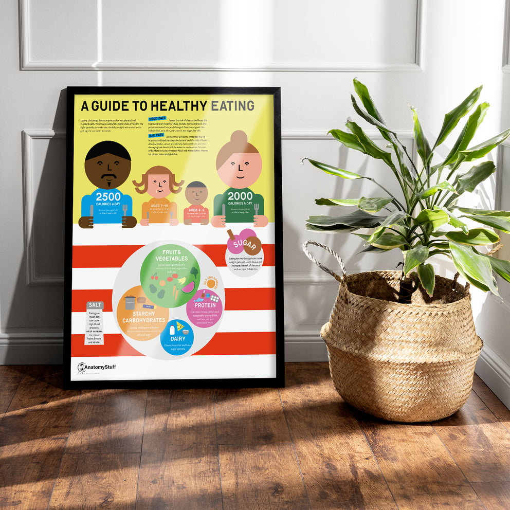 A Guide To Healthy Eating Poster | Eatwell Plate Guidelines – AnatomyStuff
