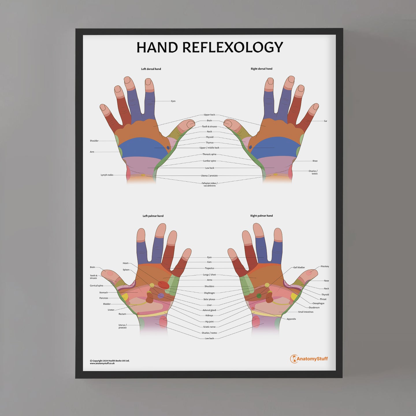 Hand Reflexology Poster | Zone Therapy Massage – AnatomyStuff