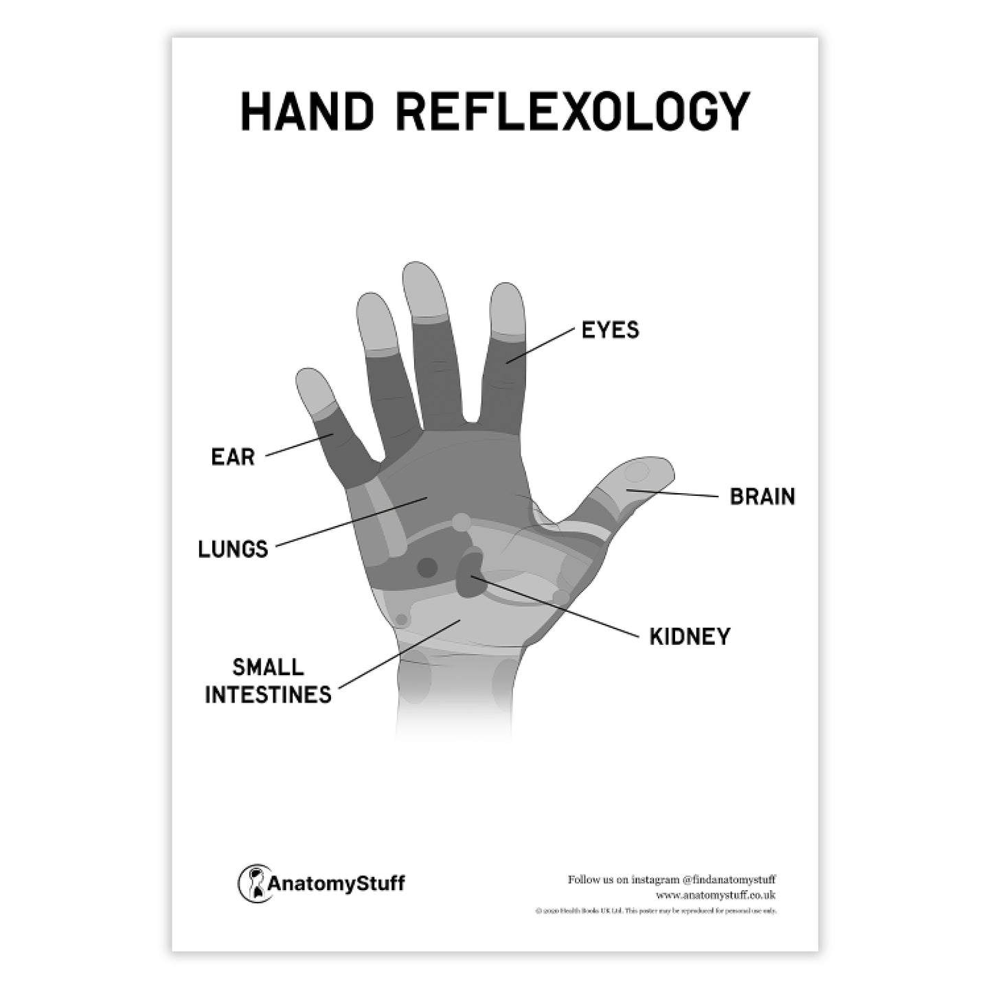 Hand Reflexology Poster PDF | Digital Download – AnatomyStuff