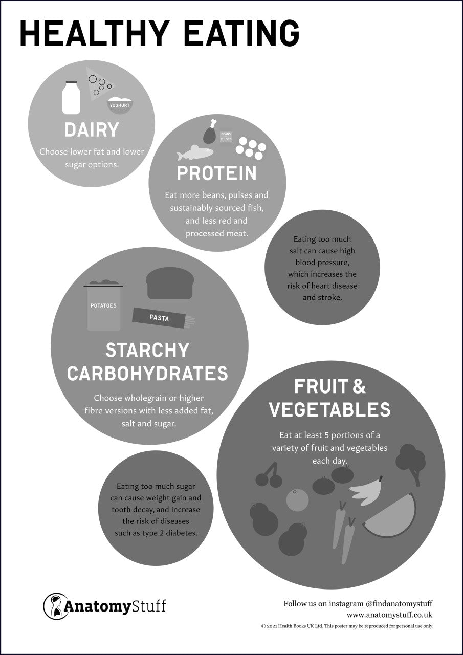 Healthy Eating Poster PDF – AnatomyStuff