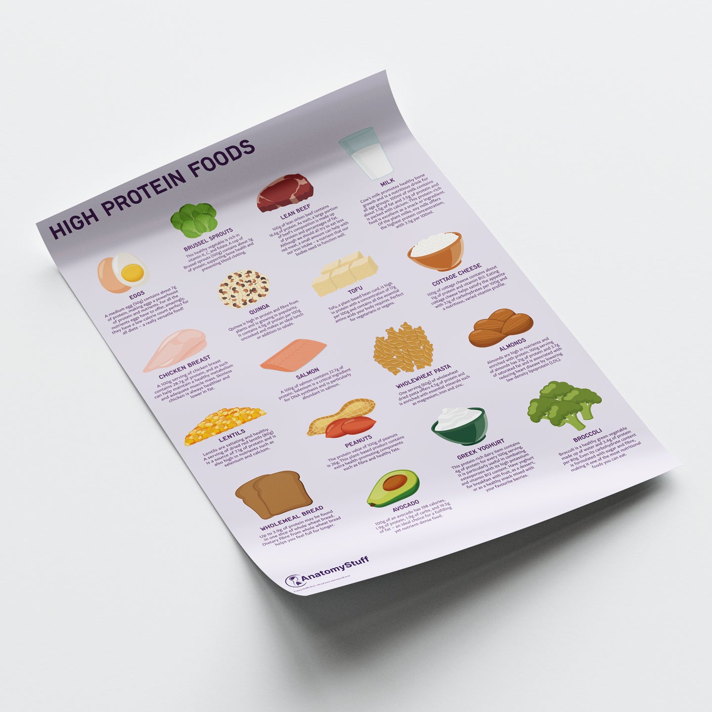High Protein Foods Poster | Nutritional High Protein Foods – AnatomyStuff