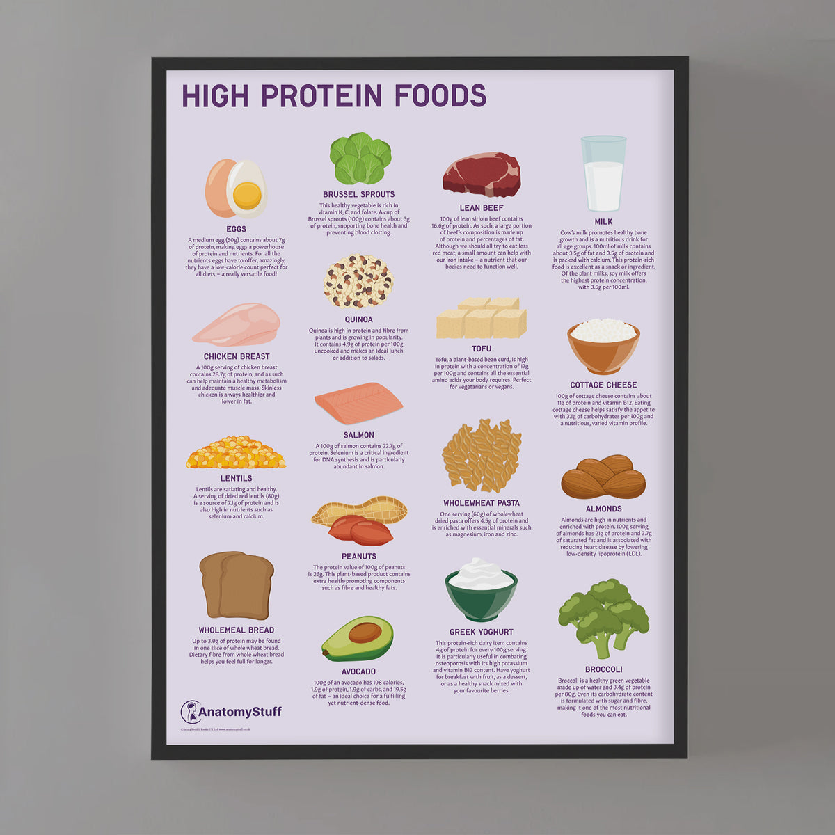 High Protein Foods Poster | Nutritional High Protein Foods – AnatomyStuff