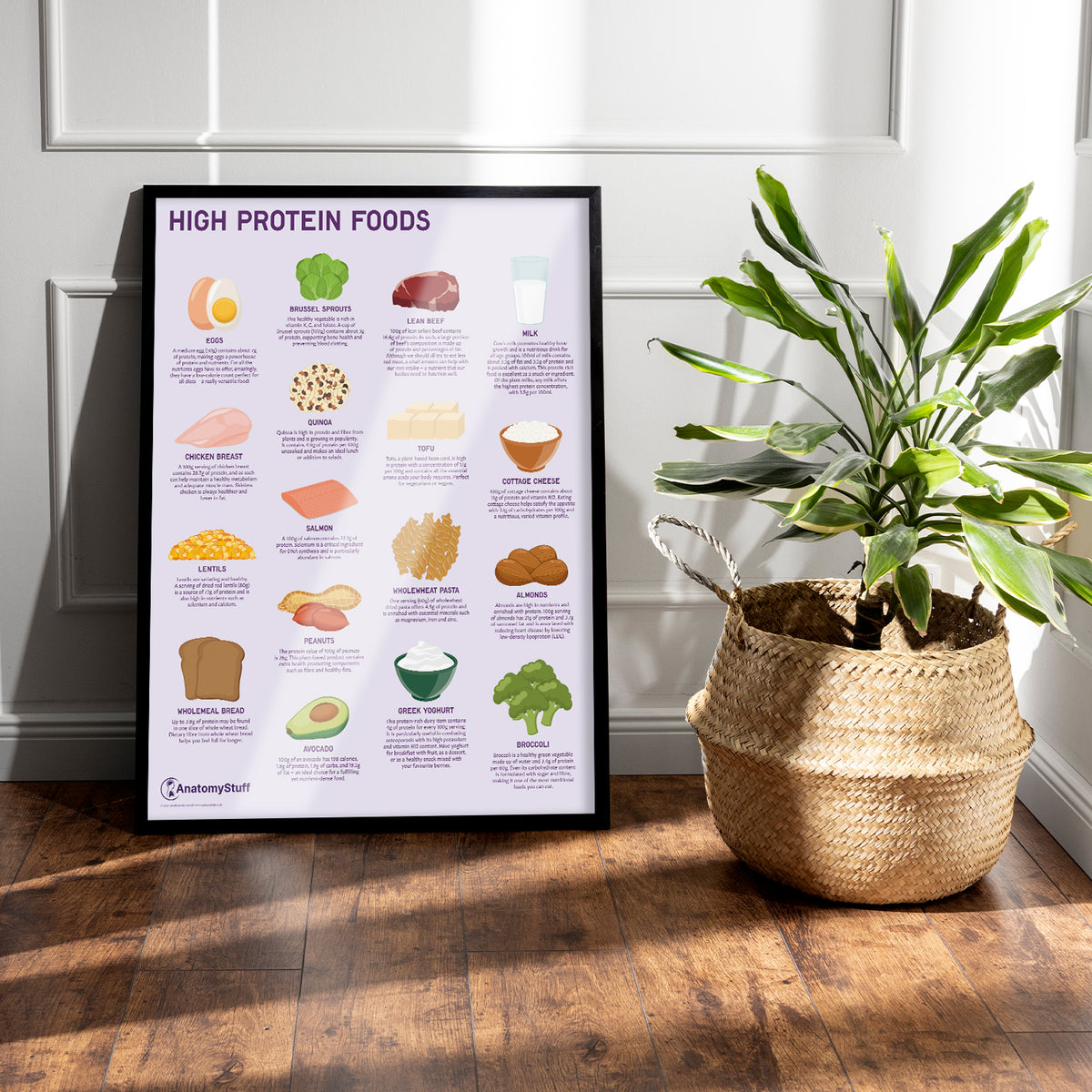 High Protein Foods Poster | Nutritional High Protein Foods – AnatomyStuff
