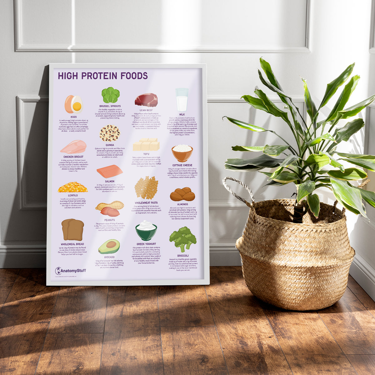 High Protein Foods Poster | Nutritional High Protein Foods – AnatomyStuff