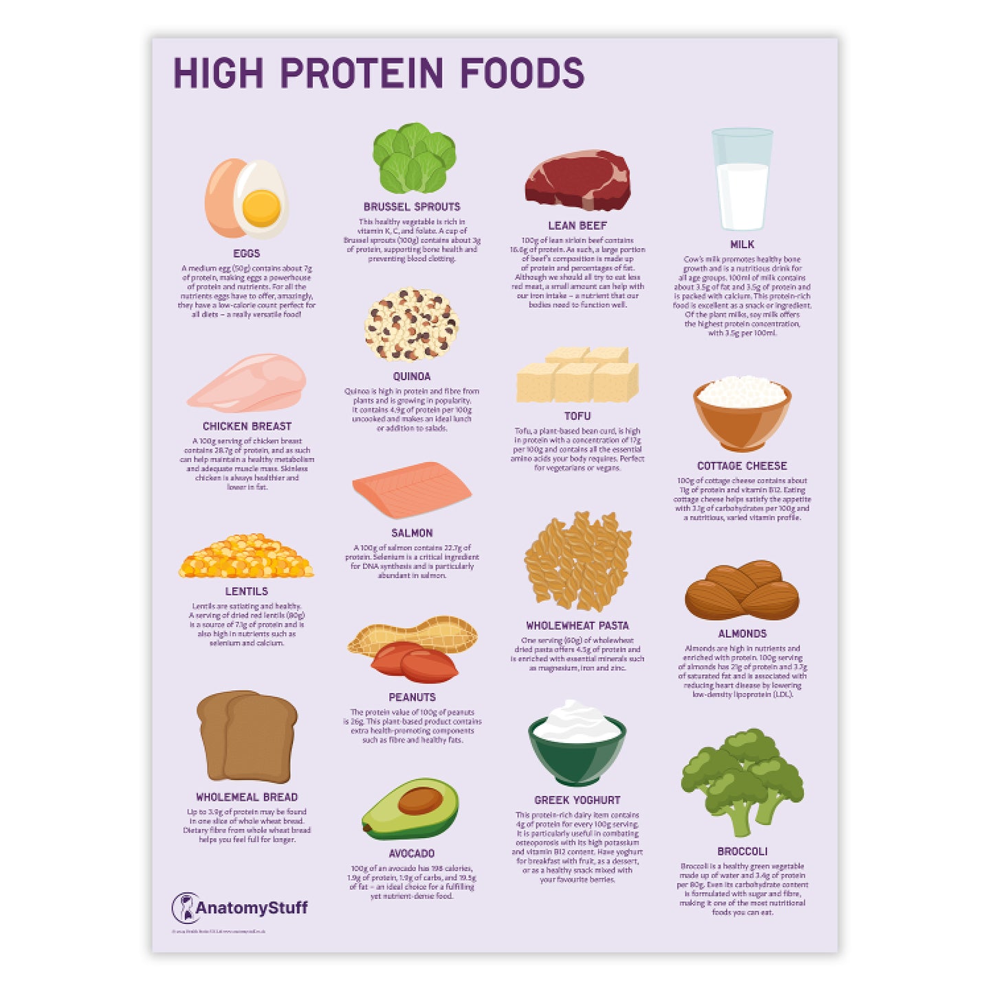 High Protein Foods Poster | Nutritional High Protein Foods – AnatomyStuff
