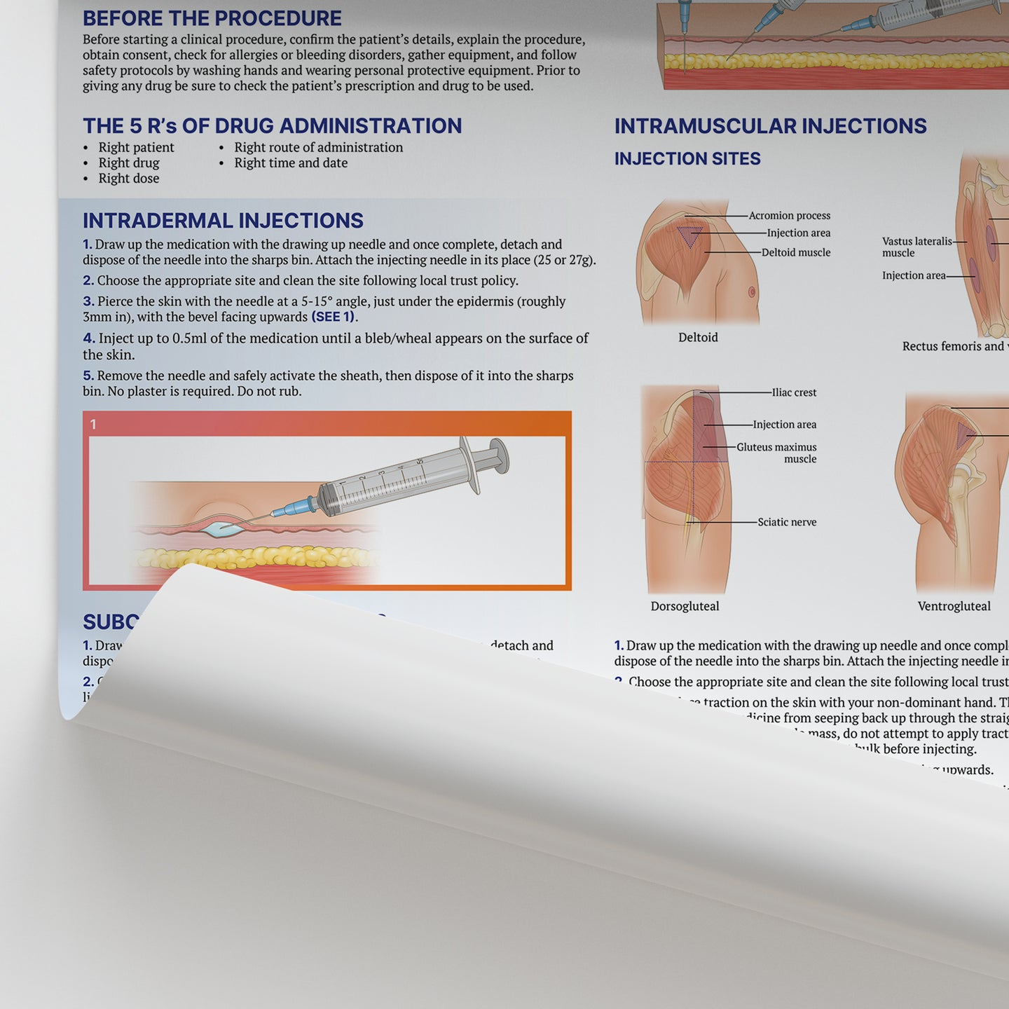 How to Administer Injections Poster | Injection Clinical Skills Chart – AnatomyStuff