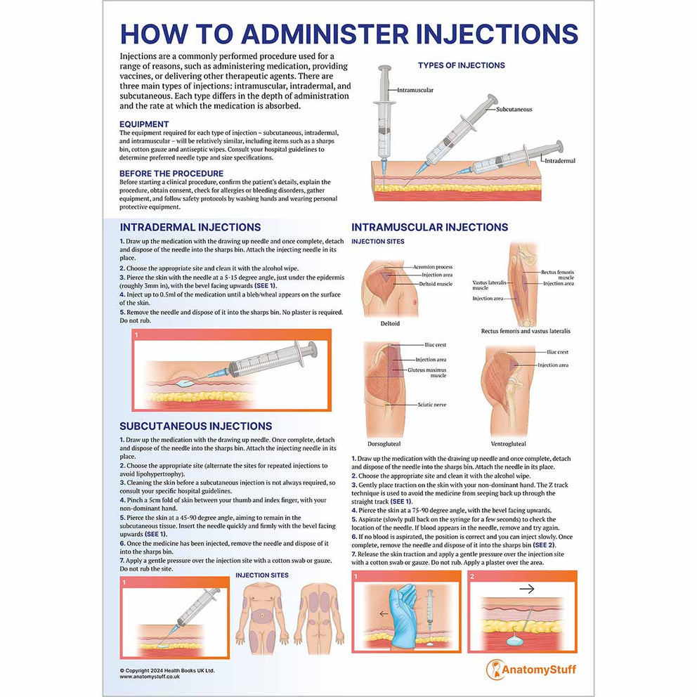 Ostomy Care Training Models | Stoma Care Clinical Skills – AnatomyStuff