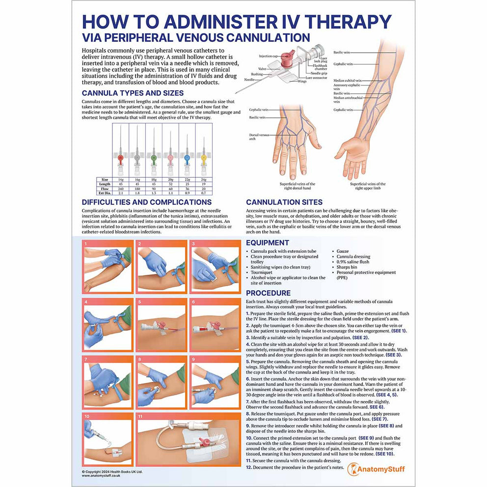 Ostomy Care Training Models | Stoma Care Clinical Skills – AnatomyStuff