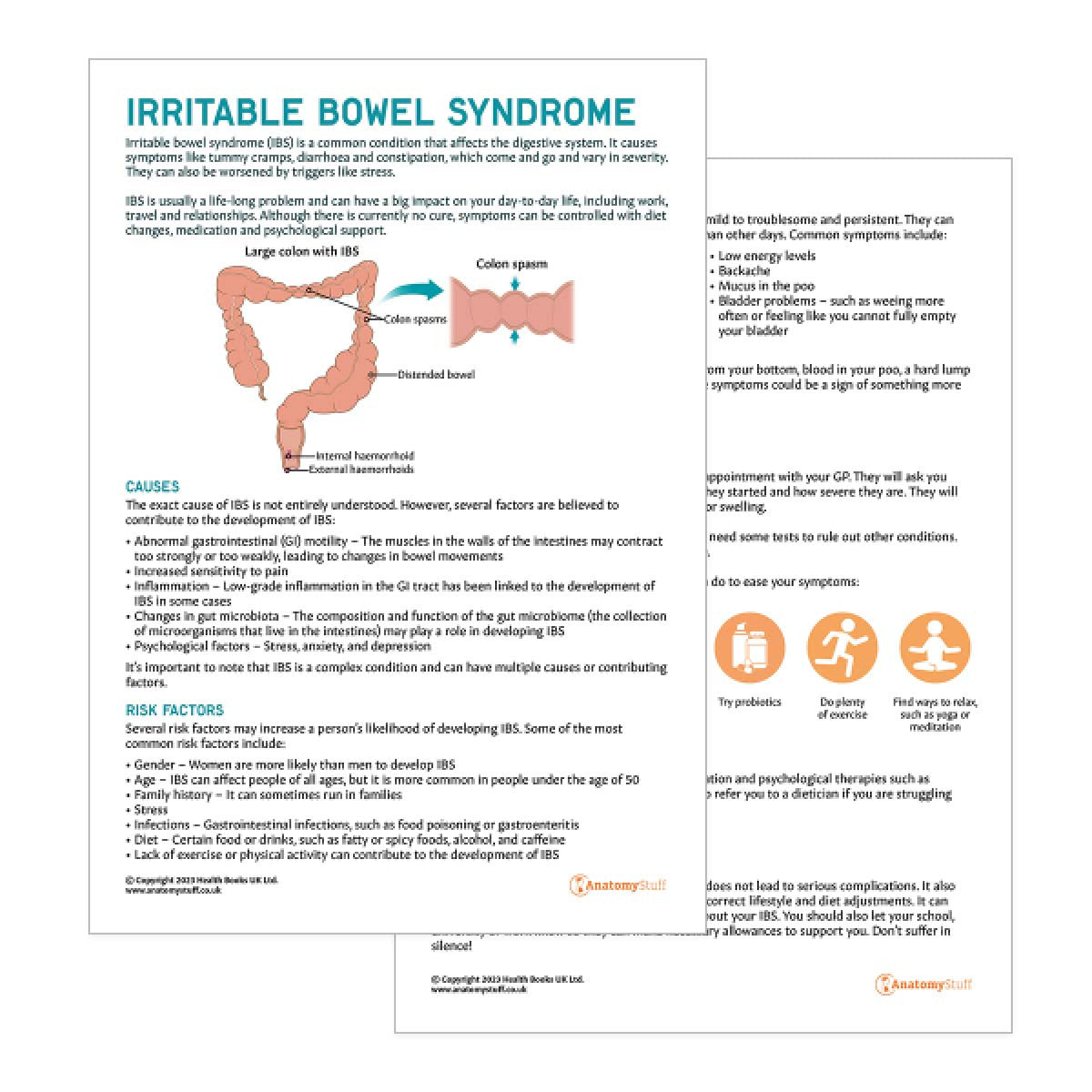 Irritable Bowel Syndrome Printable PDF | AntomyStuff – AnatomyStuff
