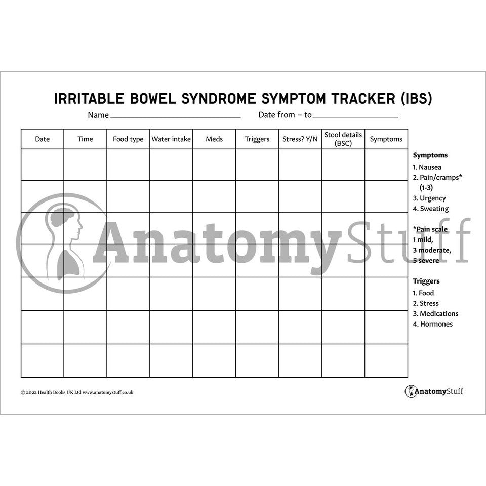 Irritable Bowel Syndrome Collection | IBS Charts & Models Set ...