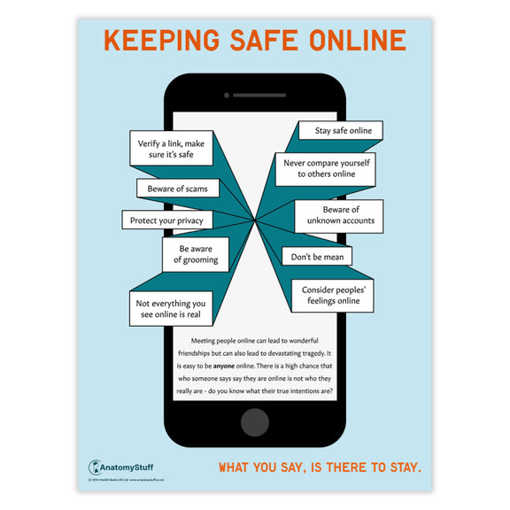 Keeping Safe Online Poster | PSHE School Education Chart – AnatomyStuff