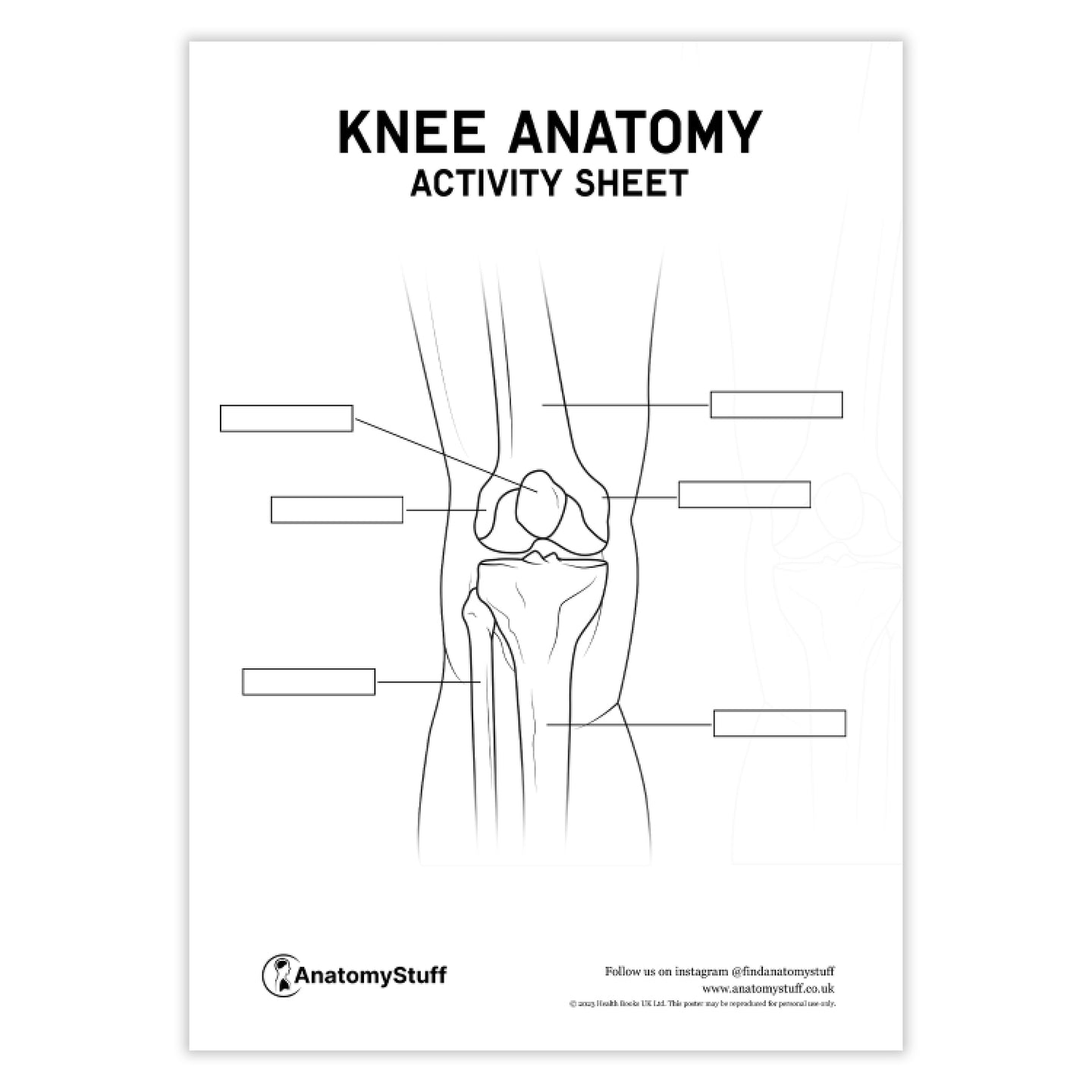 Knee Anatomy Activity Sheet PDF | AnatomyStuff
