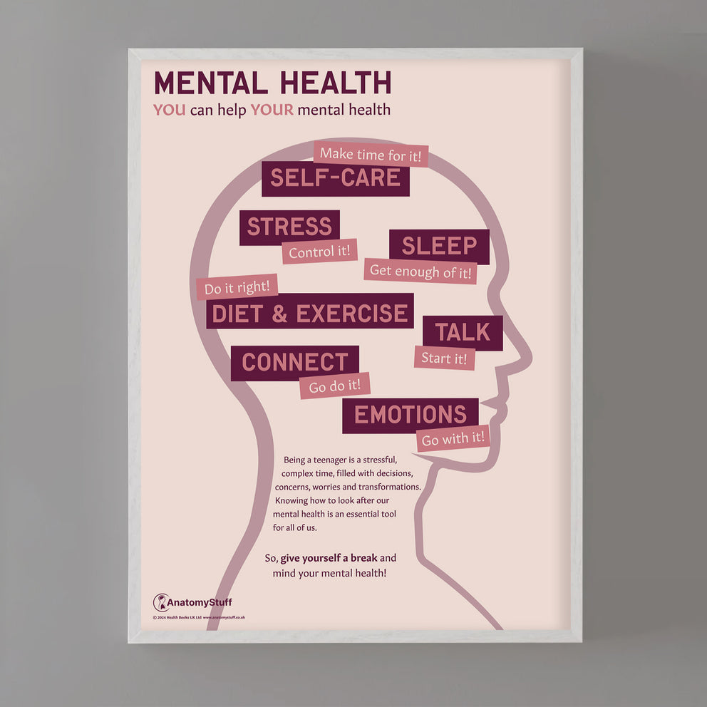 You Can Help Your Mental Health Poster | PSHE School Education Chart ...