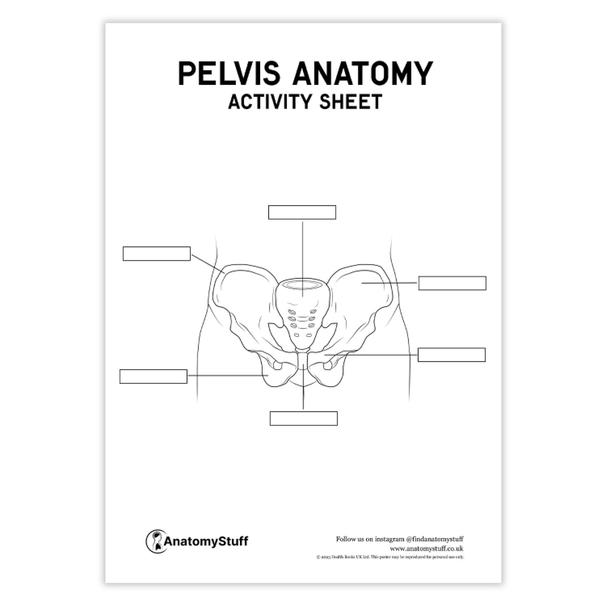 Pelvis Anatomy Activity Sheet PDF | AnatomyStuff