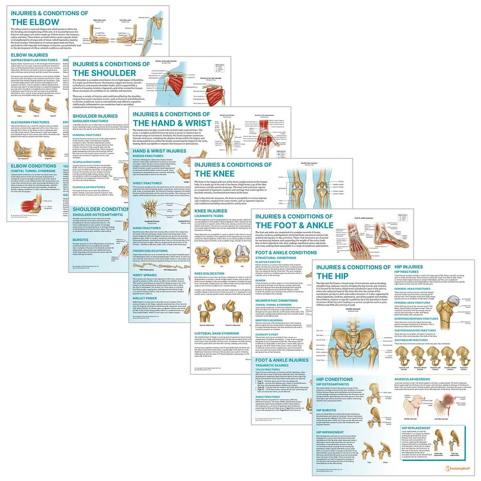 Peripheral Joint 6 Chart Collection | AnatomyStuff Posters