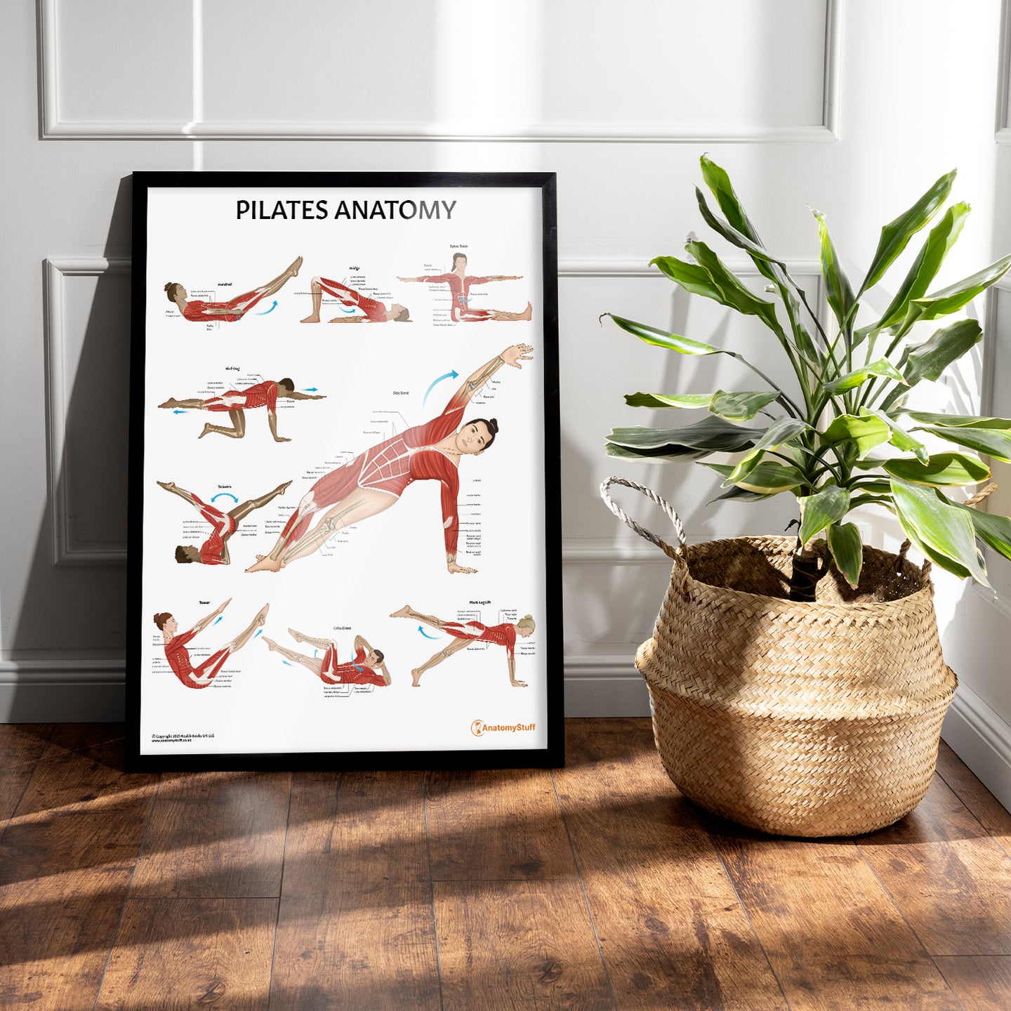 Pilates Anatomy Poster | Anatomical Pilates Chart | Anatomy of Pilates ...