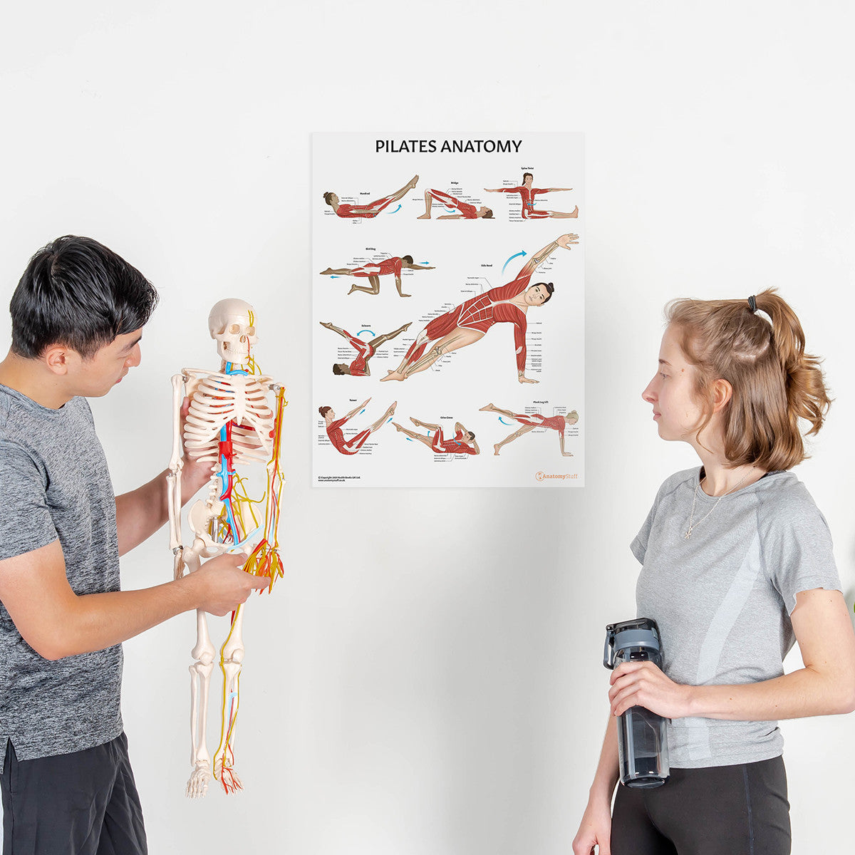 Pilates Anatomy Poster | Anatomical Pilates Chart | Anatomy of Pilates ...