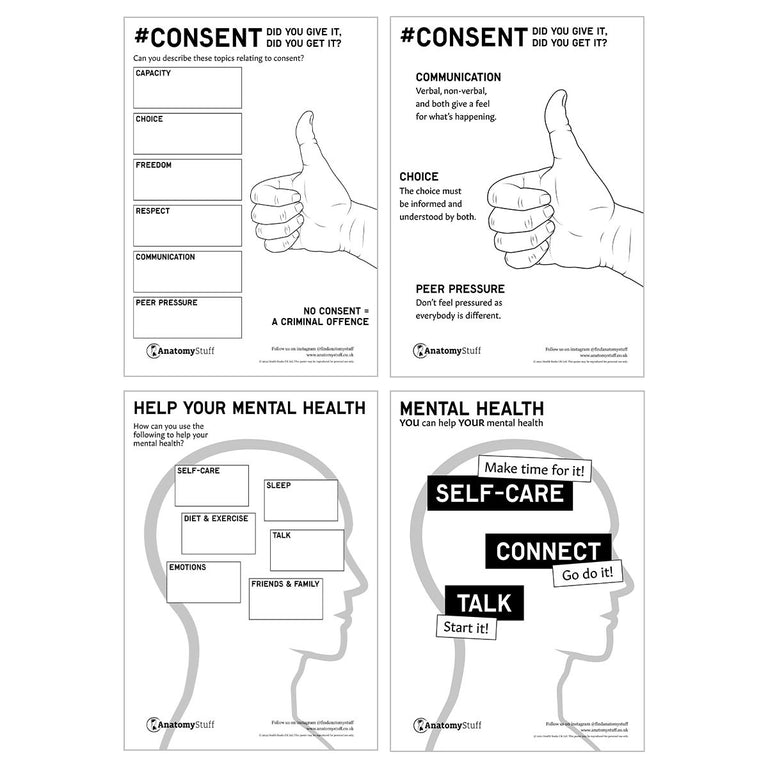 Schools & Sexual Education Posters – AnatomyStuff