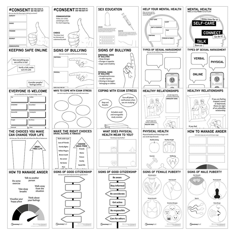 Schools & Sexual Education Posters – AnatomyStuff