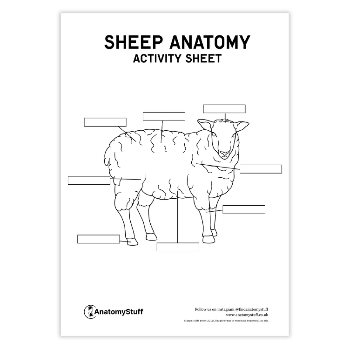 Sheep Anatomy Activity Sheet PDF | Digital Download – AnatomyStuff