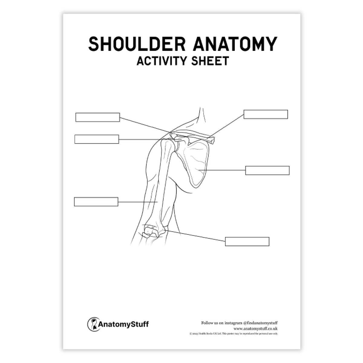 Shoulder Anatomy Activity Sheet PDF – AnatomyStuff