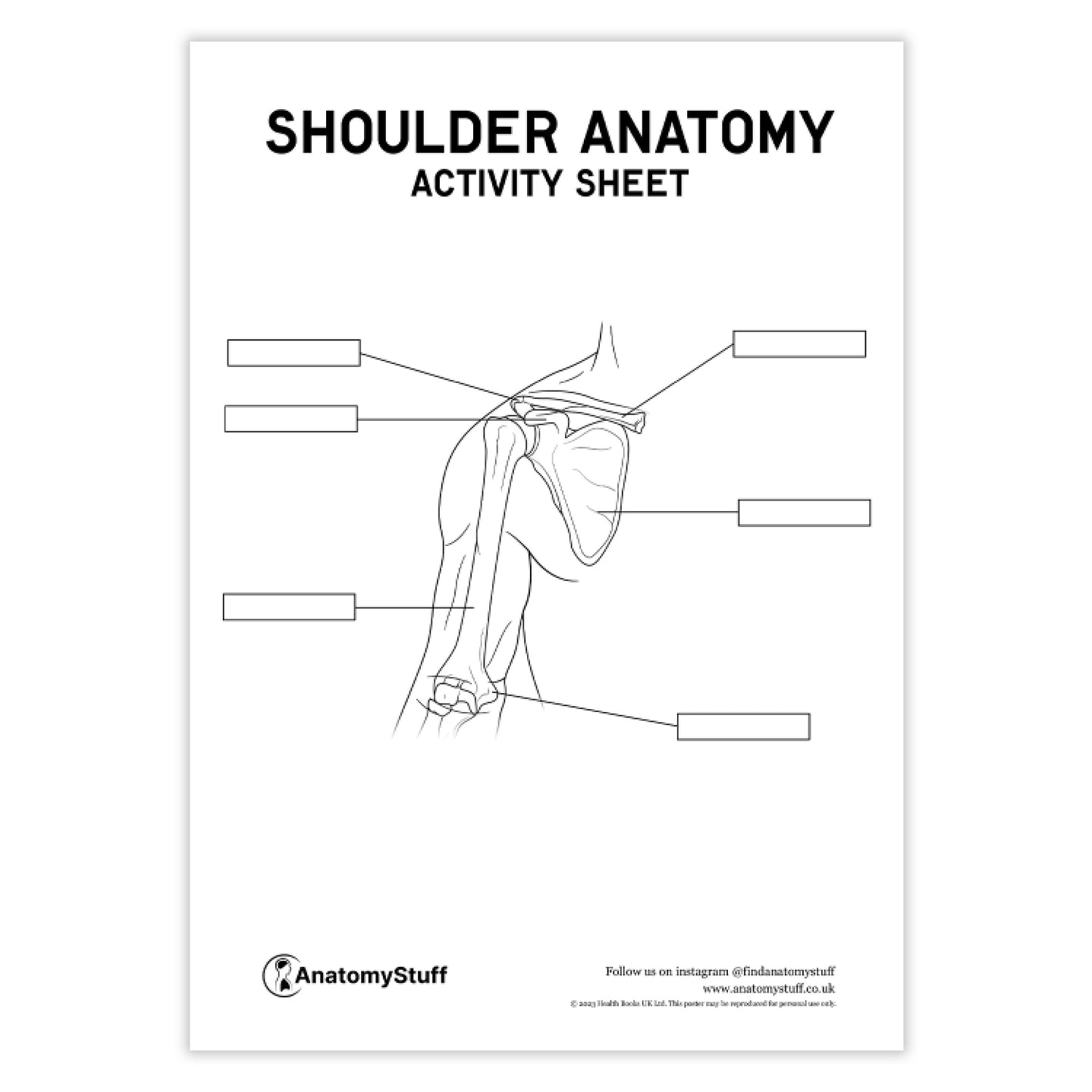 Shoulder Anatomy Activity Sheet PDF | Medical Student Revision ...