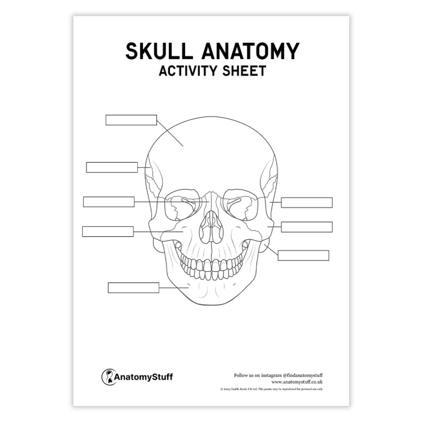 Skull Anatomy Activity Sheet PDF | Colouring In Skull Download ...