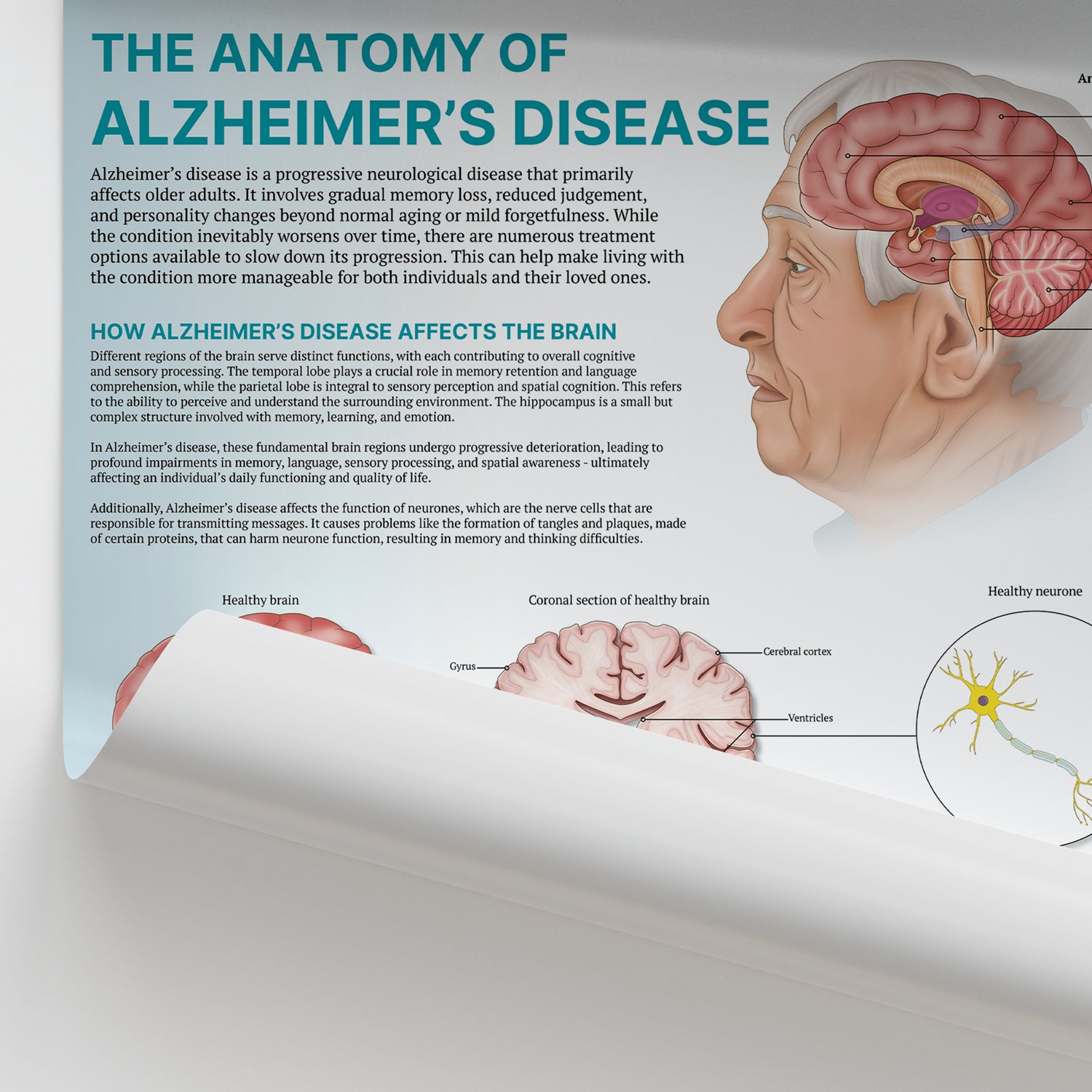 Geriatric Care Training Resources | Teach Geriatric Care Skills ...