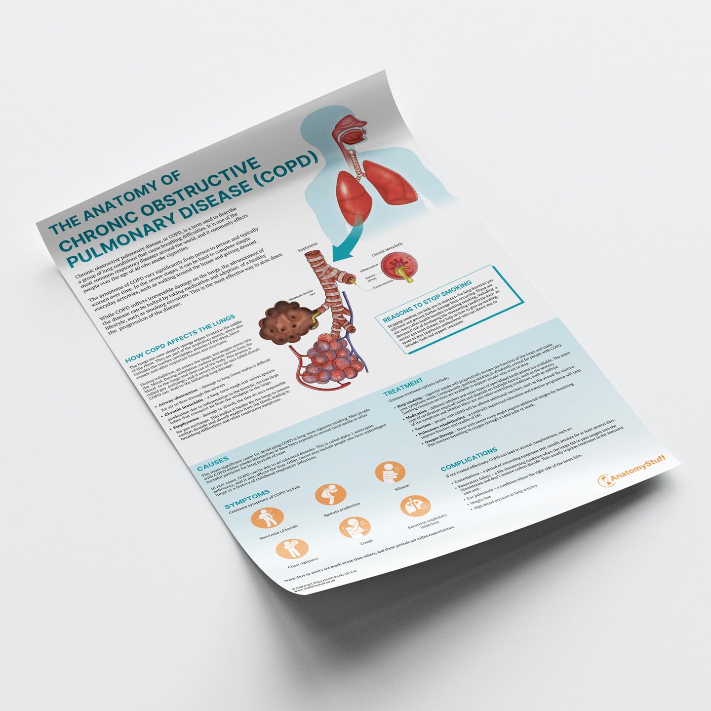 The Anatomy of COPD Chart/Poster ‚Äì Laminated | Respiratory Pathology ...