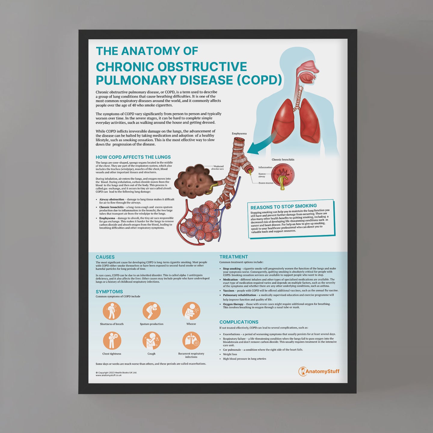 The Anatomy of COPD Chart/Poster ‚Äì Laminated | Respiratory Pathology ...