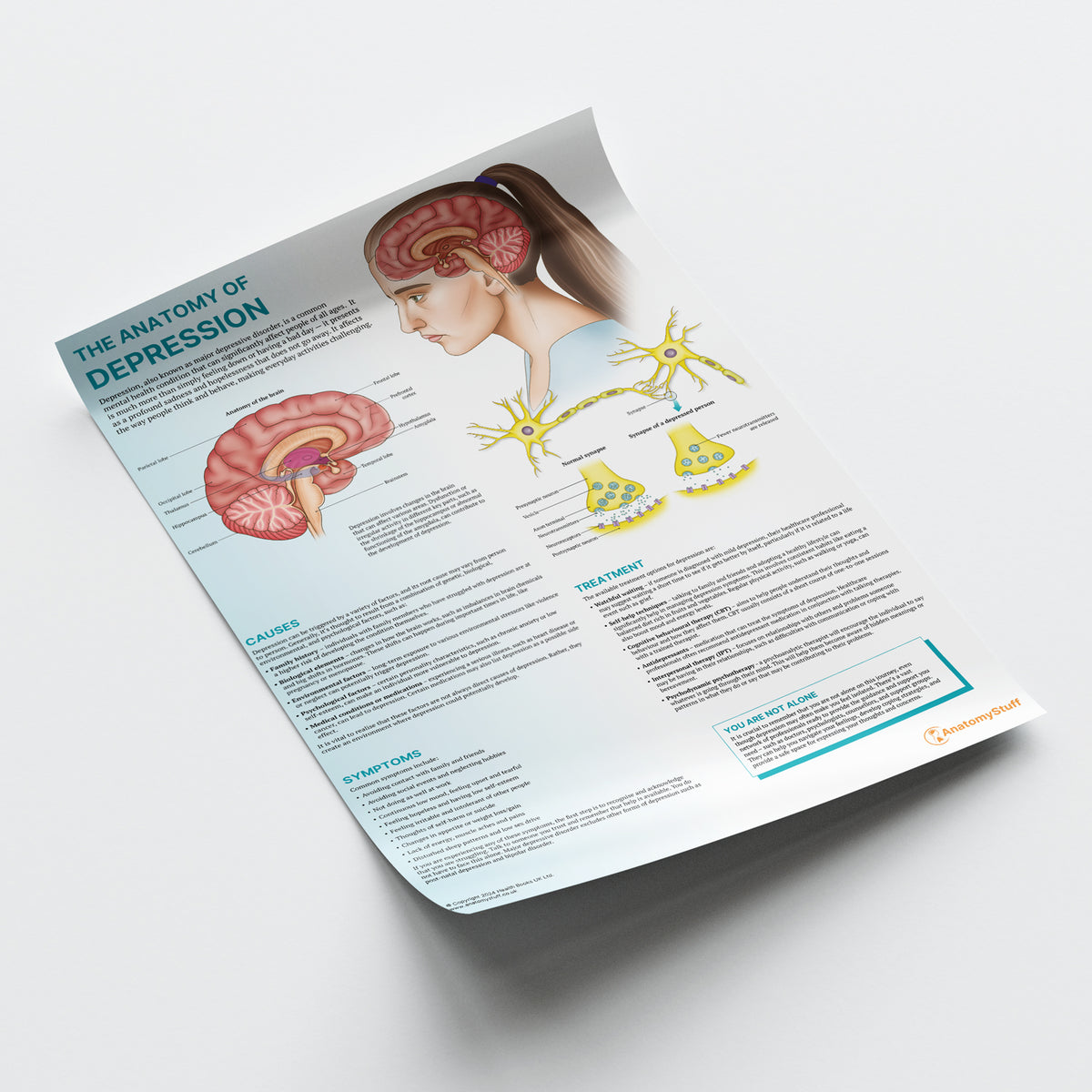 The Anatomy of Depression Chart / Poster - | AnatomyStuff
