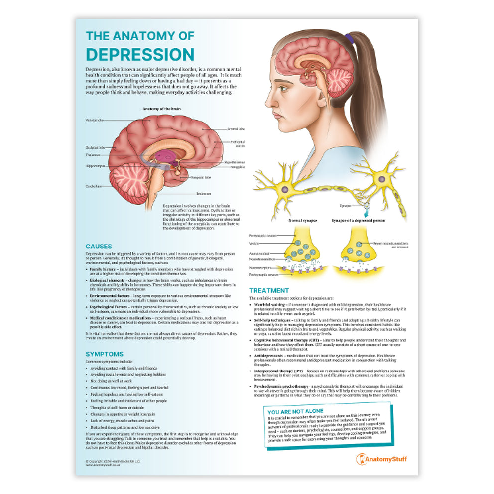 The Anatomy of Depression Chart / Poster - | AnatomyStuff