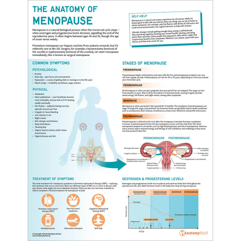 Female Reproductive System Anatomy & Pathology Collection – AnatomyStuff
