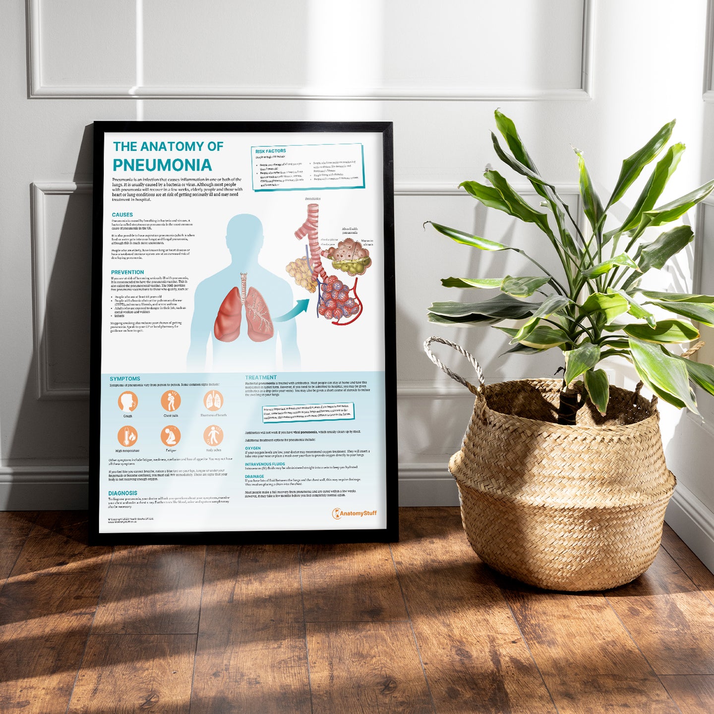 The Anatomy of Pneumonia Chart/Poster ‚Äì Laminated | Respiratory ...