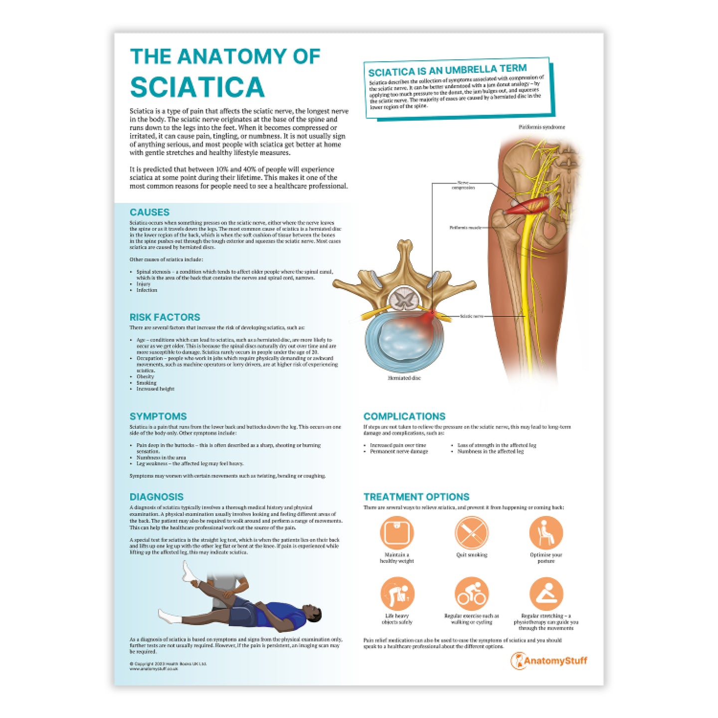 The Anatomy of Sciatica Chart/Poster Laminated | AnatomyStuff