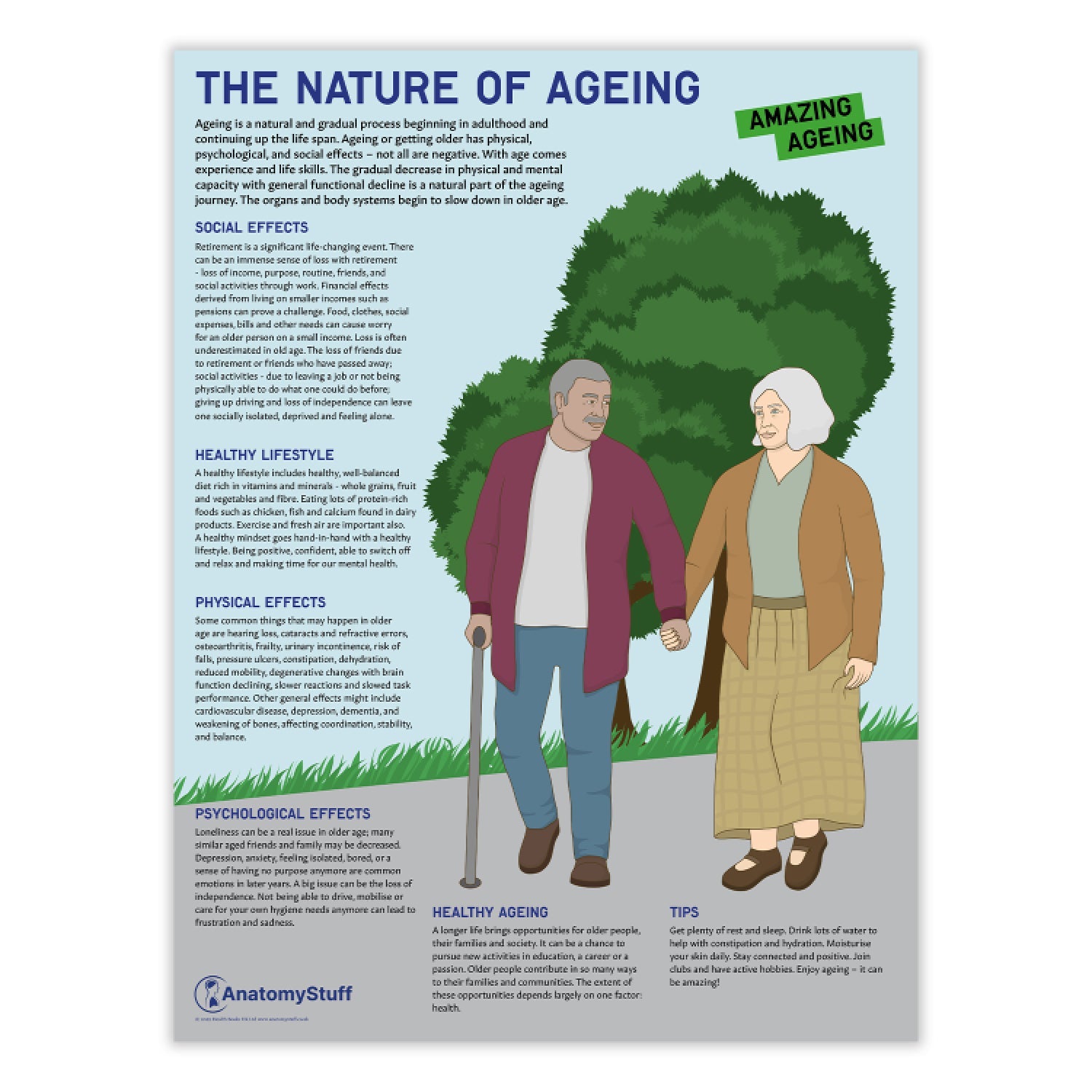 The Nature Of Ageing Poster | Geriatric Education Poster – AnatomyStuff