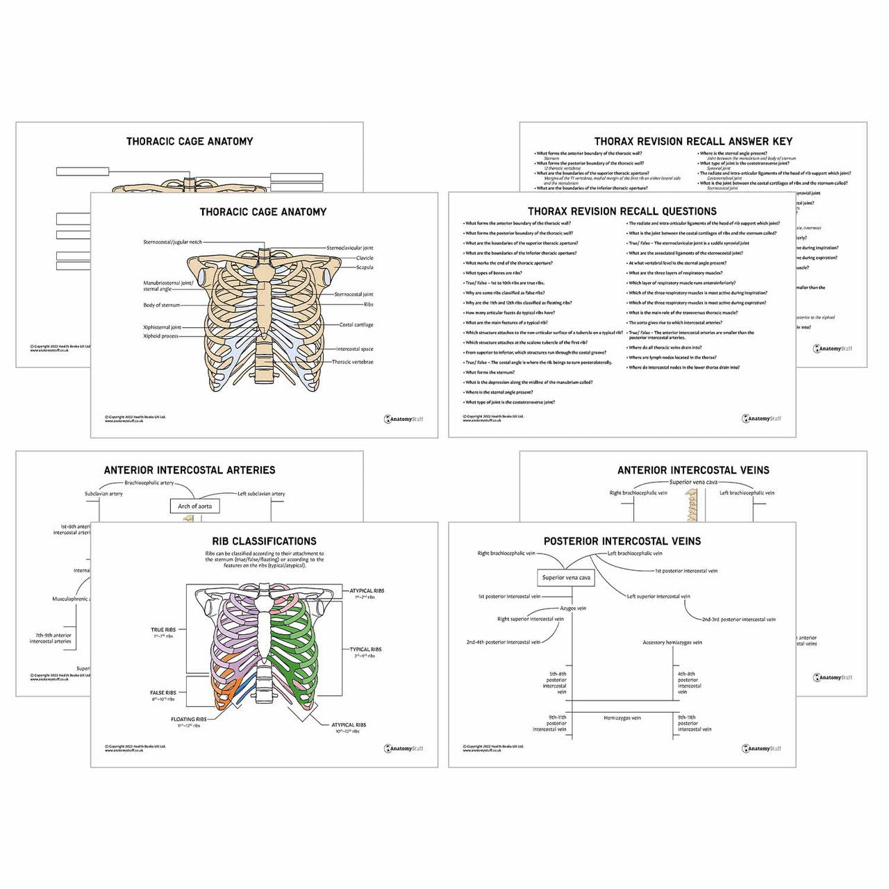 Thorax Revision Guide Digital Download | Medical School Revision ...