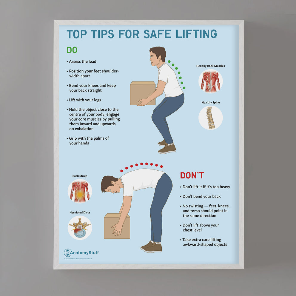 Top Tips For Safe Lifting Poster | Manual Handling Chart – AnatomyStuff