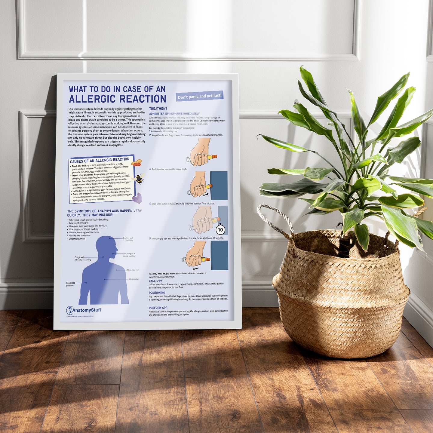 What To Do In Case of An Allergic Reaction Poster | AnatomyStuff
