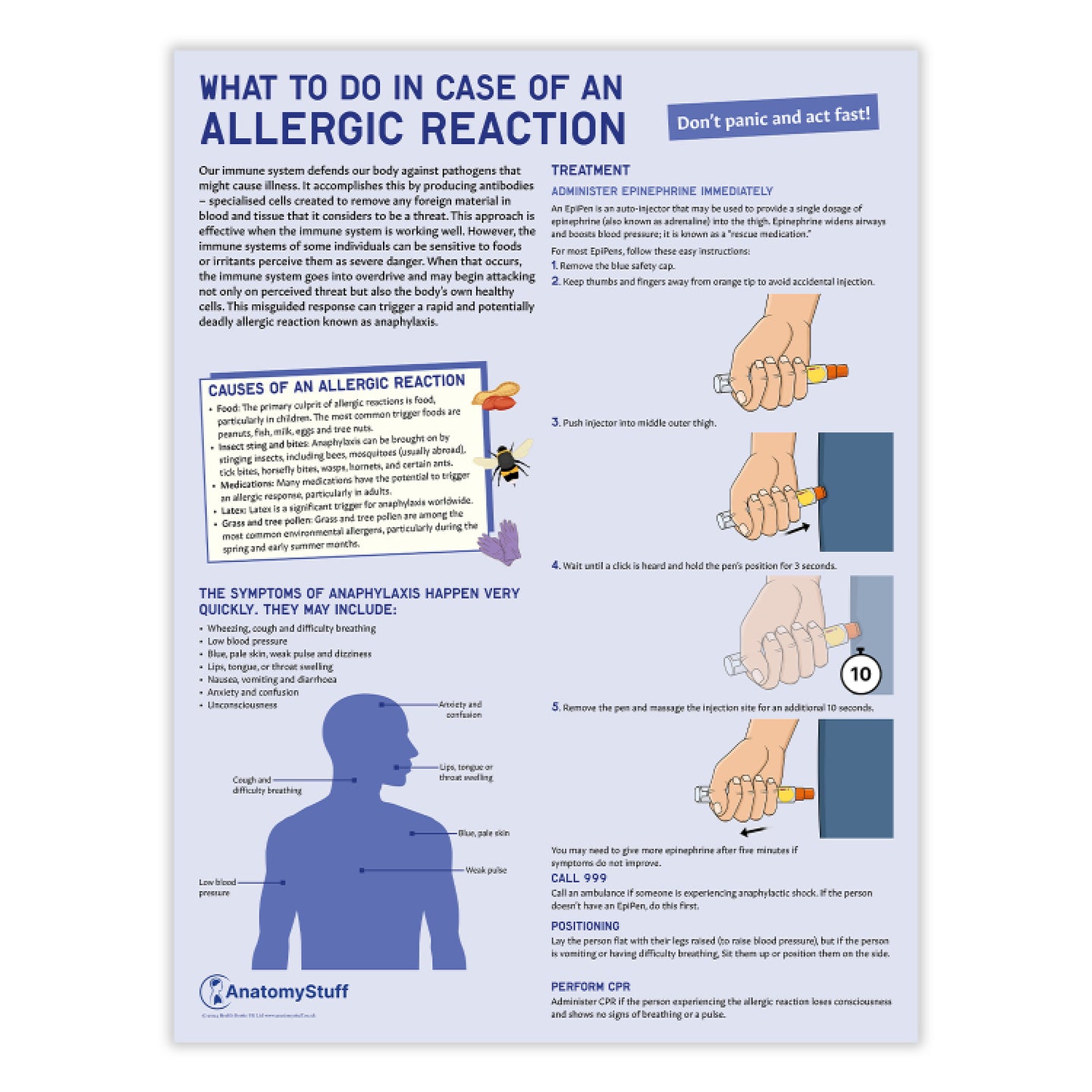 What To Do In Case of An Allergic Reaction Poster | AnatomyStuff