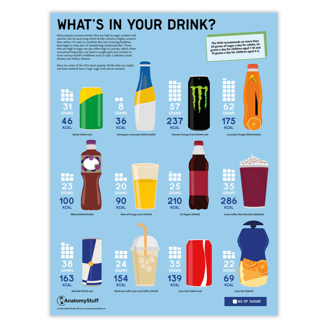 What's in your Drink? Poster | Sugar Calorie Content Chart – AnatomyStuff
