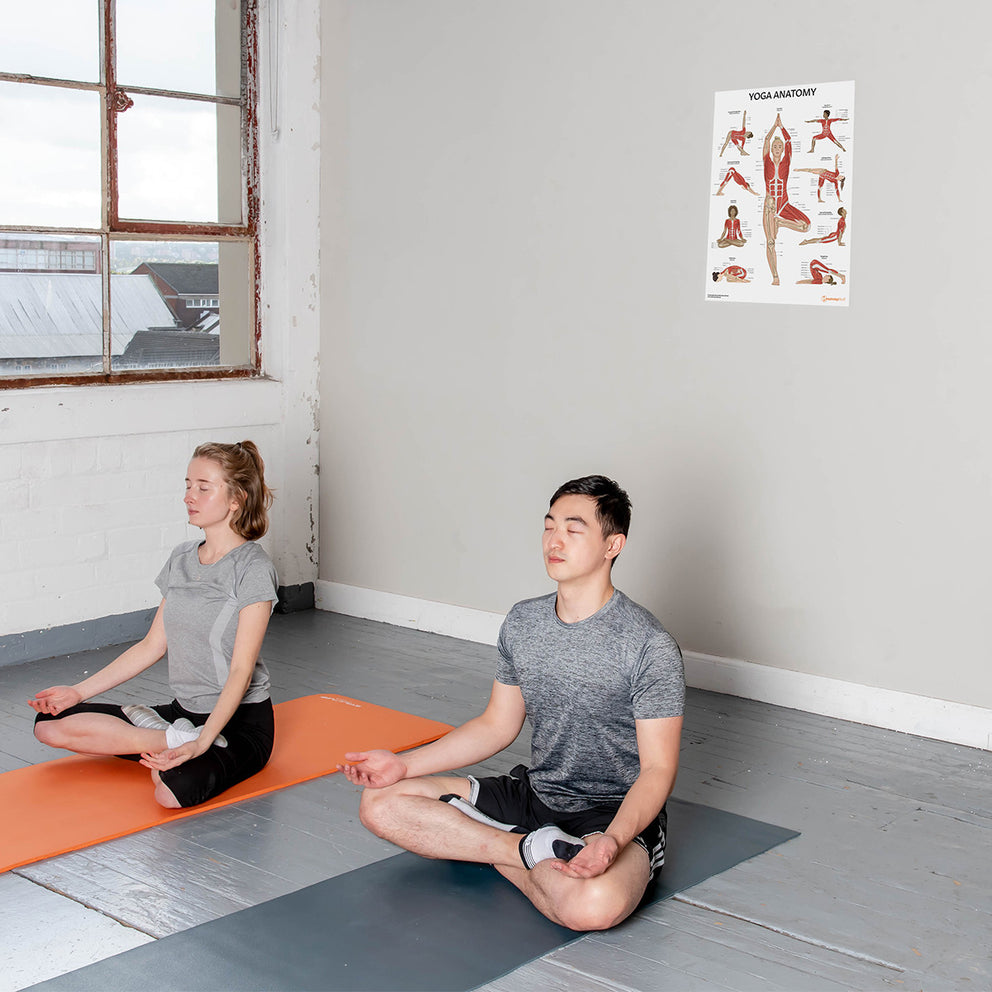 Yoga Anatomy Poster | Anatomical Yoga Chart | Anatomy of Yoga ...