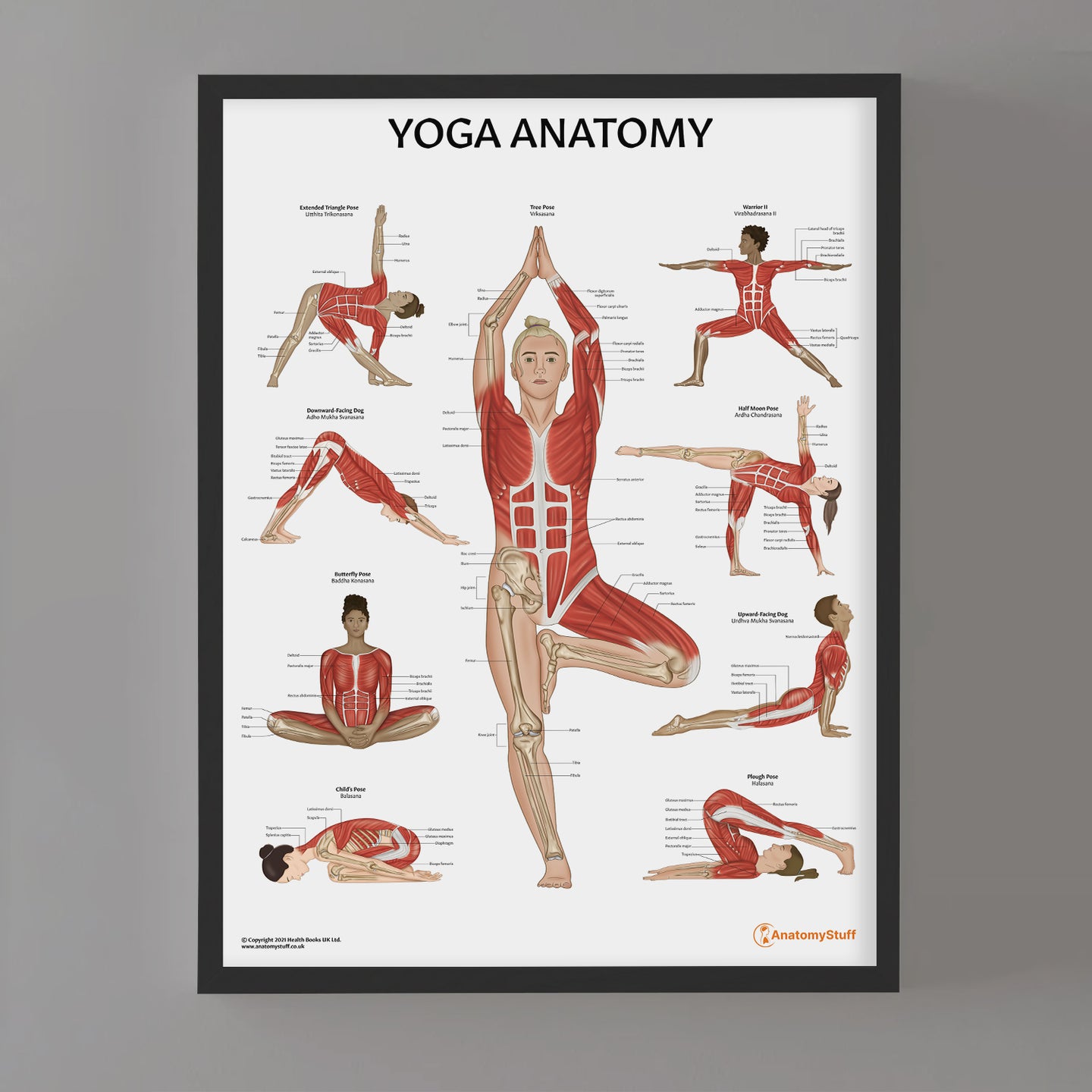 Yoga Anatomy Poster | Anatomical Yoga Chart | Anatomy of Yoga ...