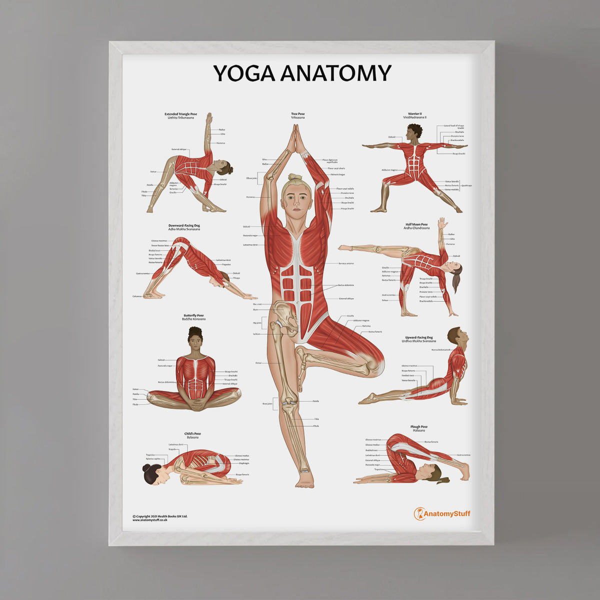 Yoga Anatomy Poster | Anatomical Yoga Chart | Anatomy of Yoga ...